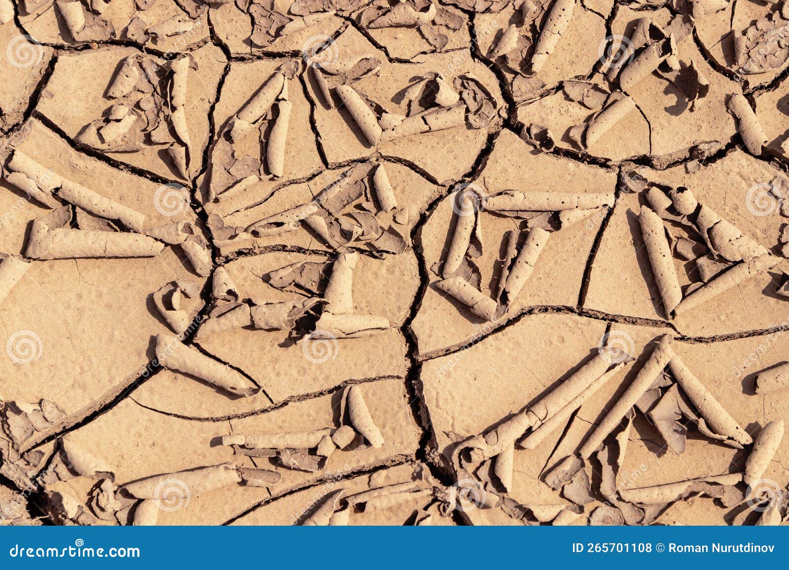 Structure of Cracked Earth from Natural Drought Stock Photo - Image of ...