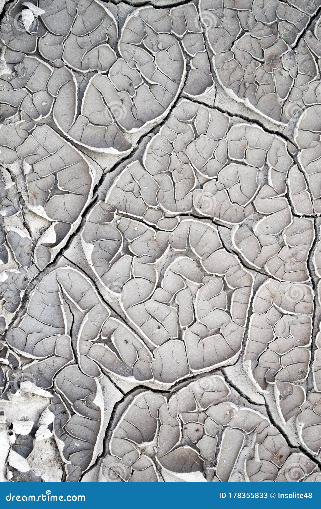 Structure Cracked Soil Earth Texture Stock Image - Image of damage ...