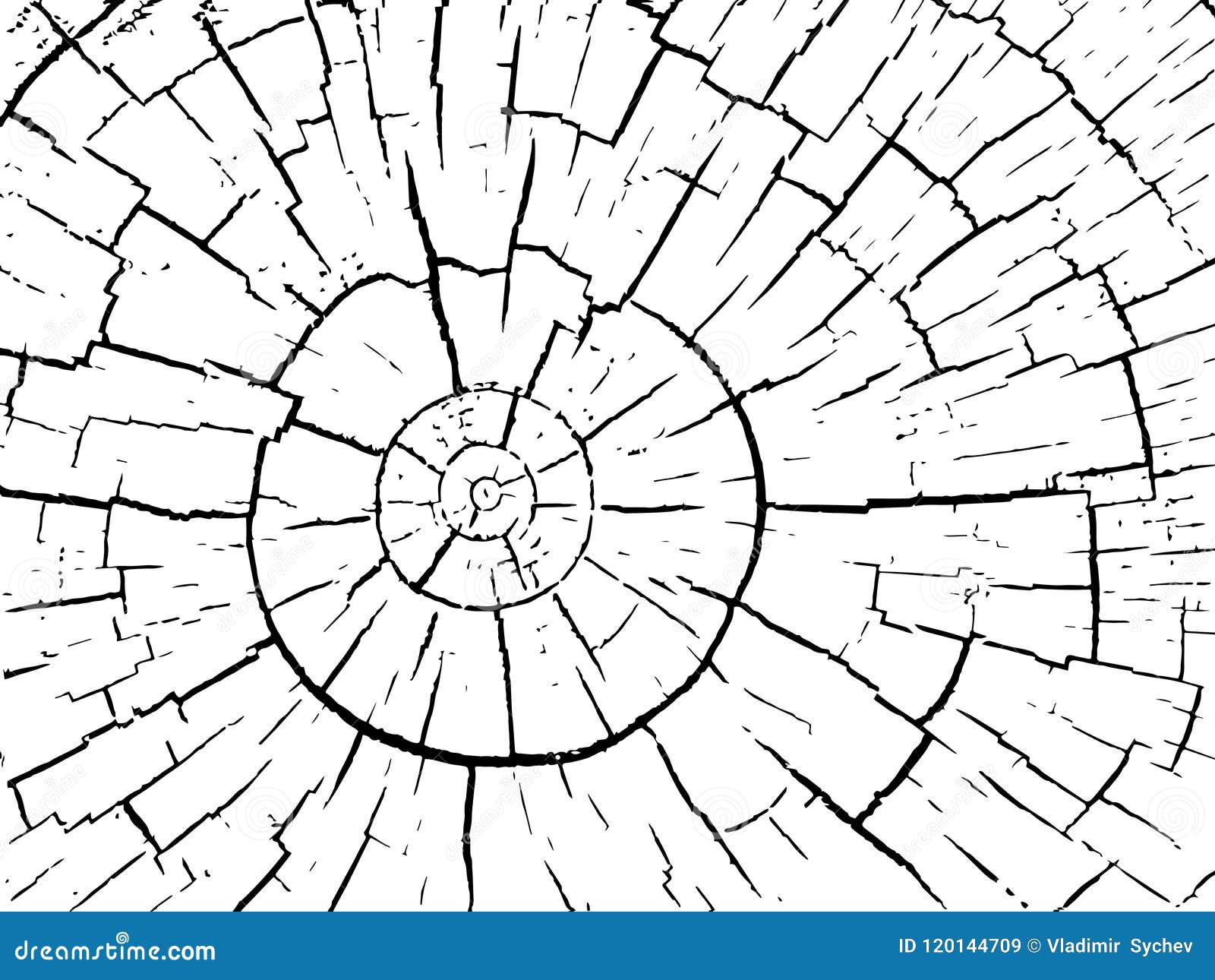Structure Of Cracks Of Wood Background Cartoon Vector | CartoonDealer ...