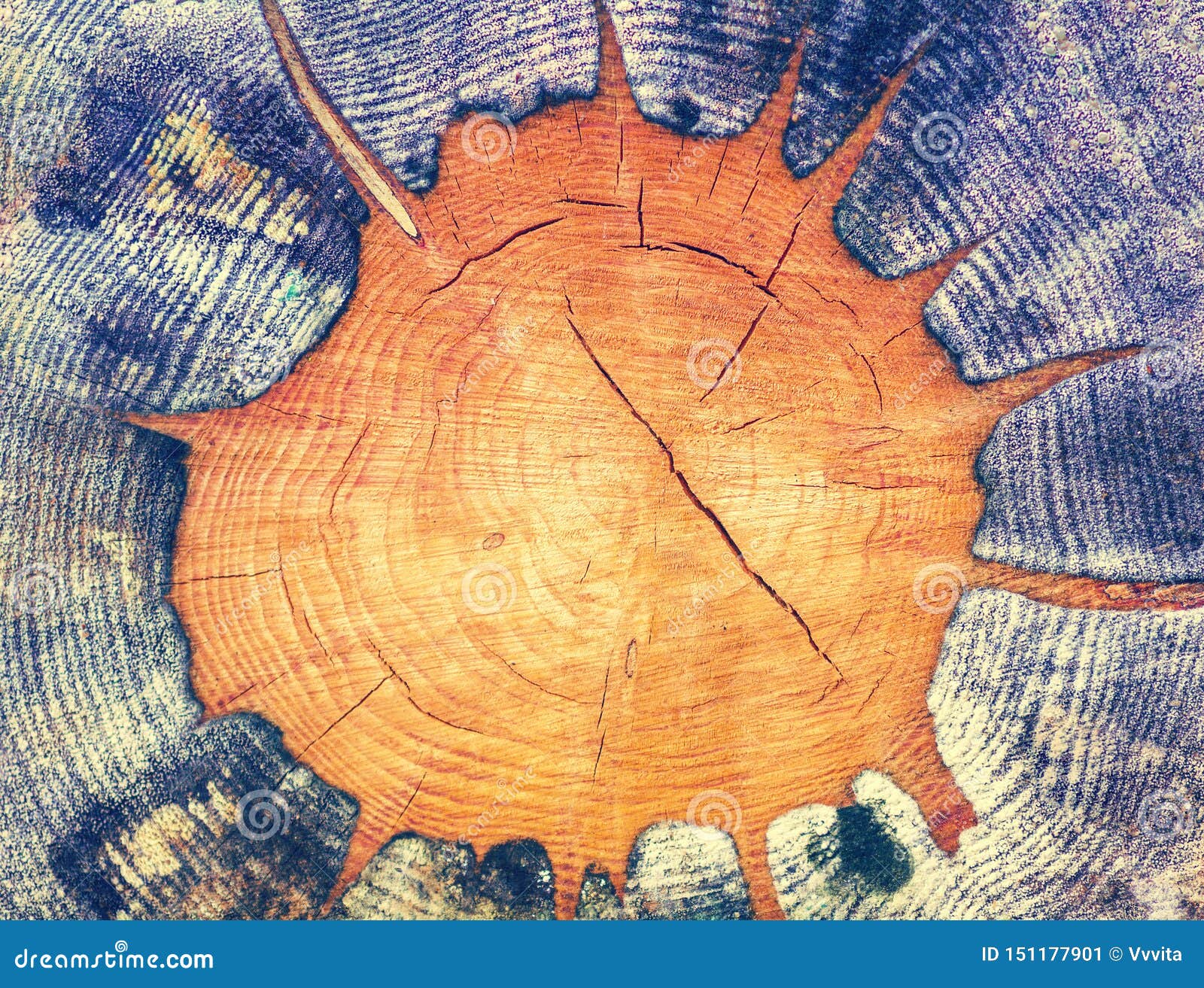 The Structure Of The Trunk Of A Palm Tree Royalty-Free Stock Photo ...