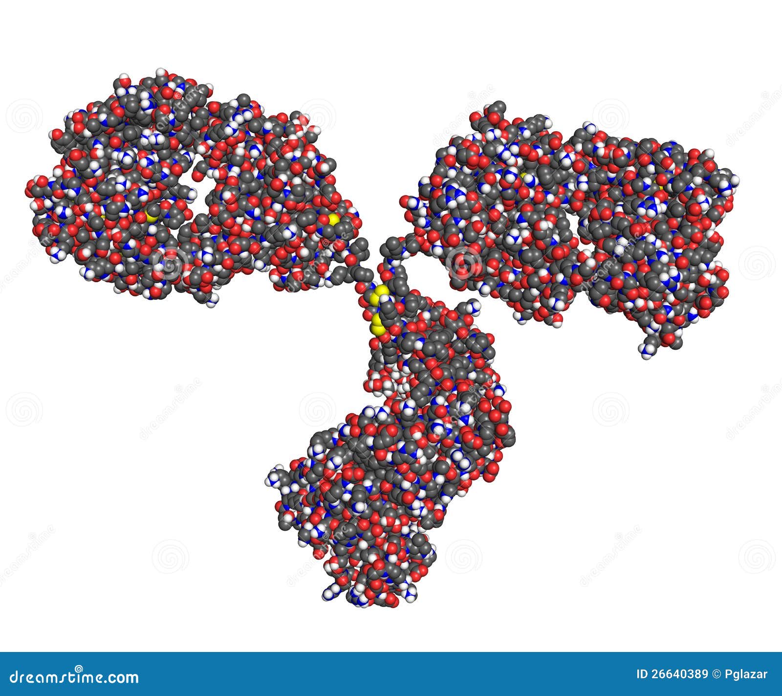 Structure d'anticorps illustration stock. Illustration du biochimie ...