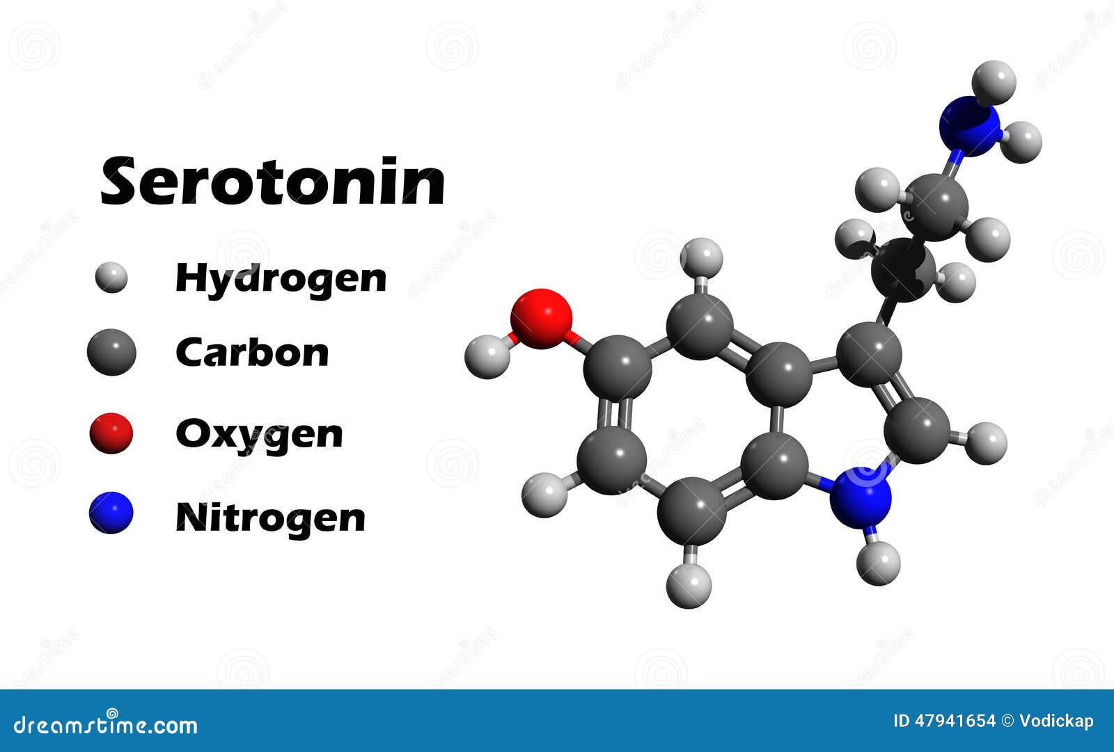 Structure De La Sérotonine 3D Illustration Stock - Image: 47941654