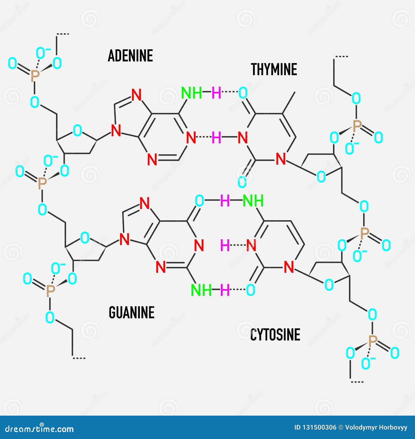 Structure De Molécule D'ADN Illustration de Vecteur - Illustration du ...