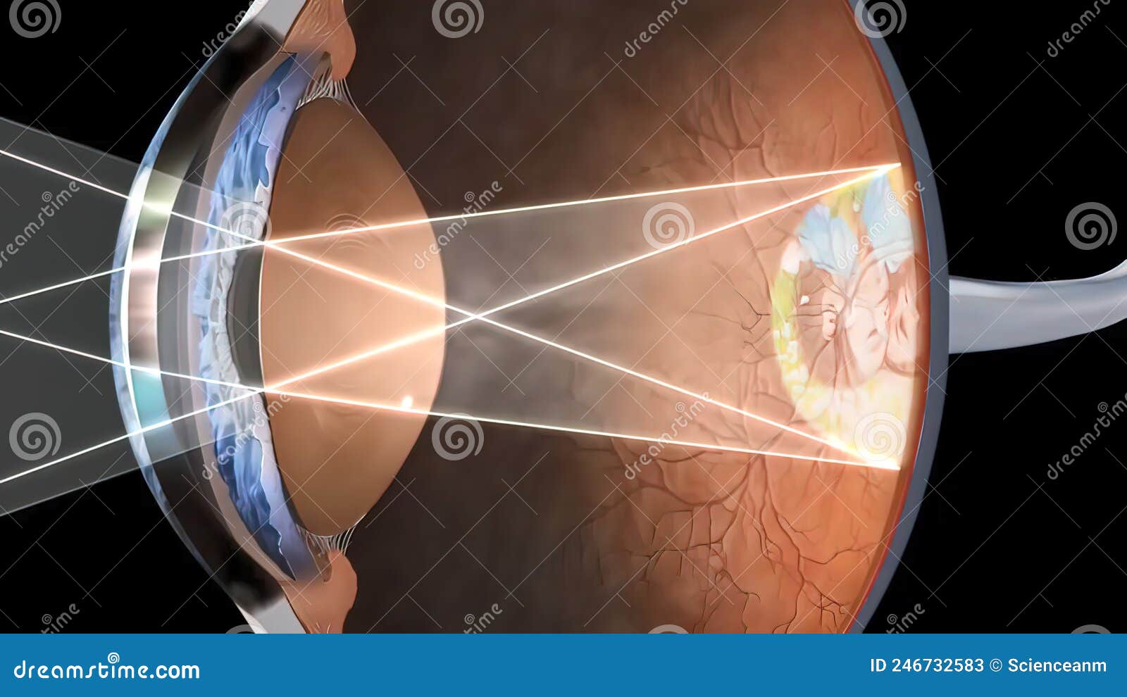 Structure de vision illustration stock. Illustration du oeil - 246732583