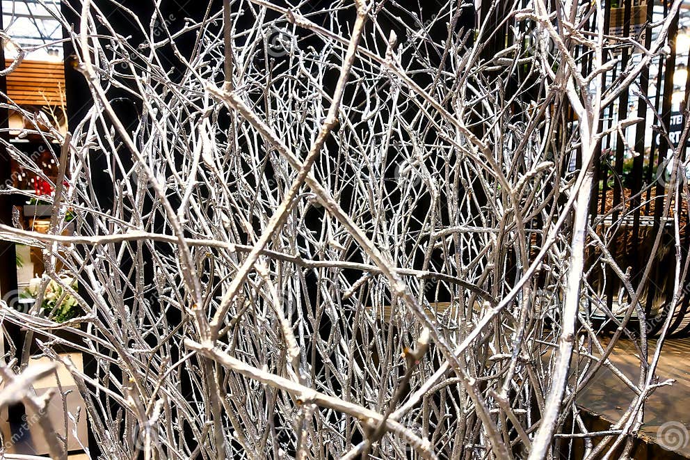 A Structure for Decoration Purposes with Various Ingredients Suitable ...