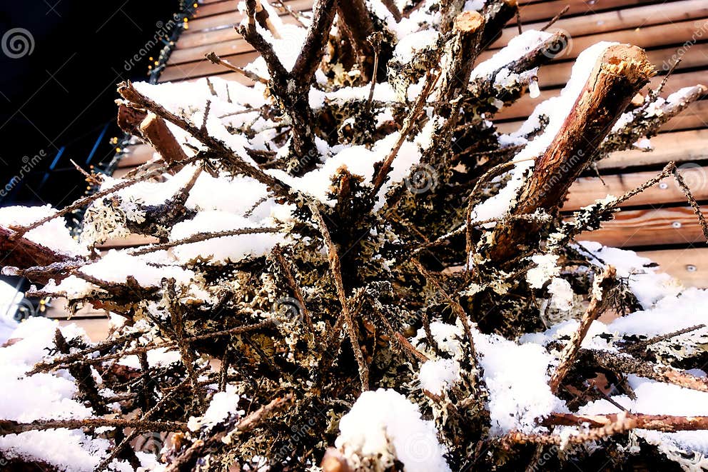 A Structure for Decoration Purposes with Various Ingredients Suitable ...