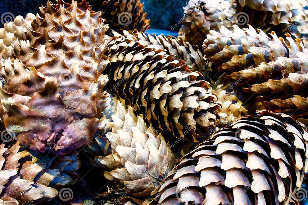 A Structure for Decoration Purposes with Various Ingredients Suitable ...