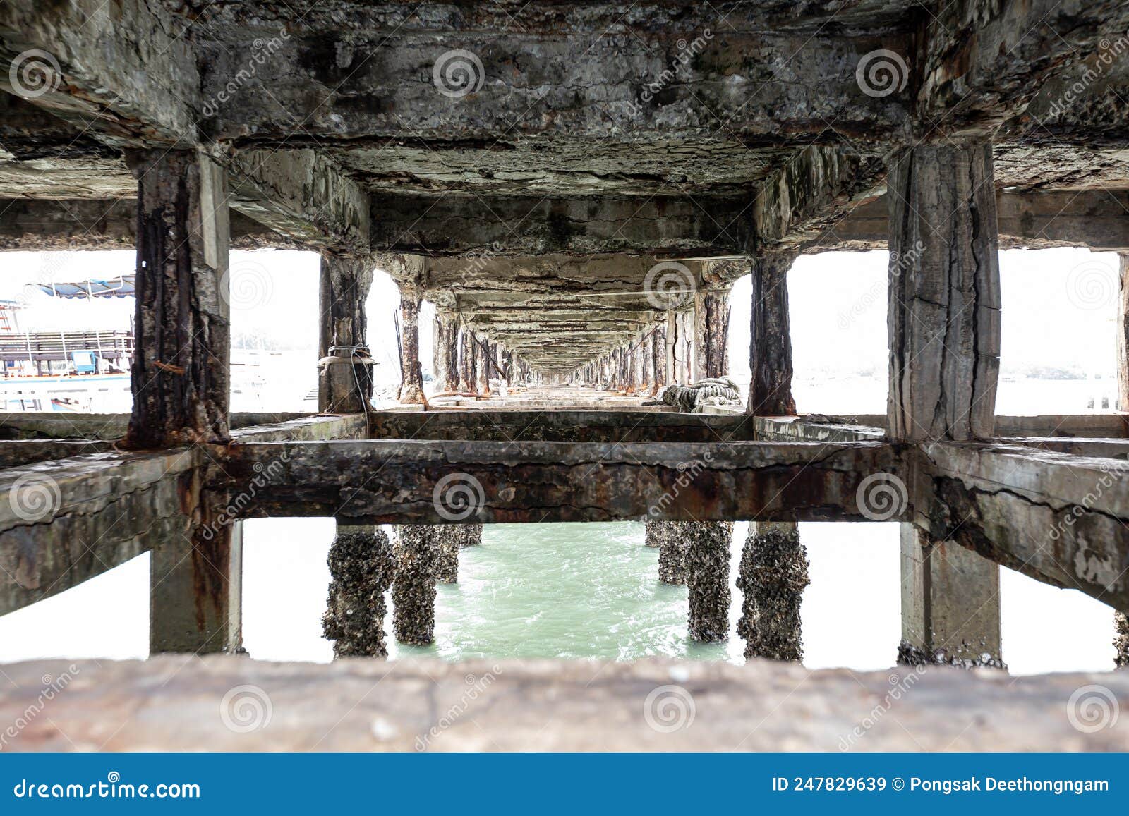 Under the pier by the sea stock image. Image of outdoor - 247829639