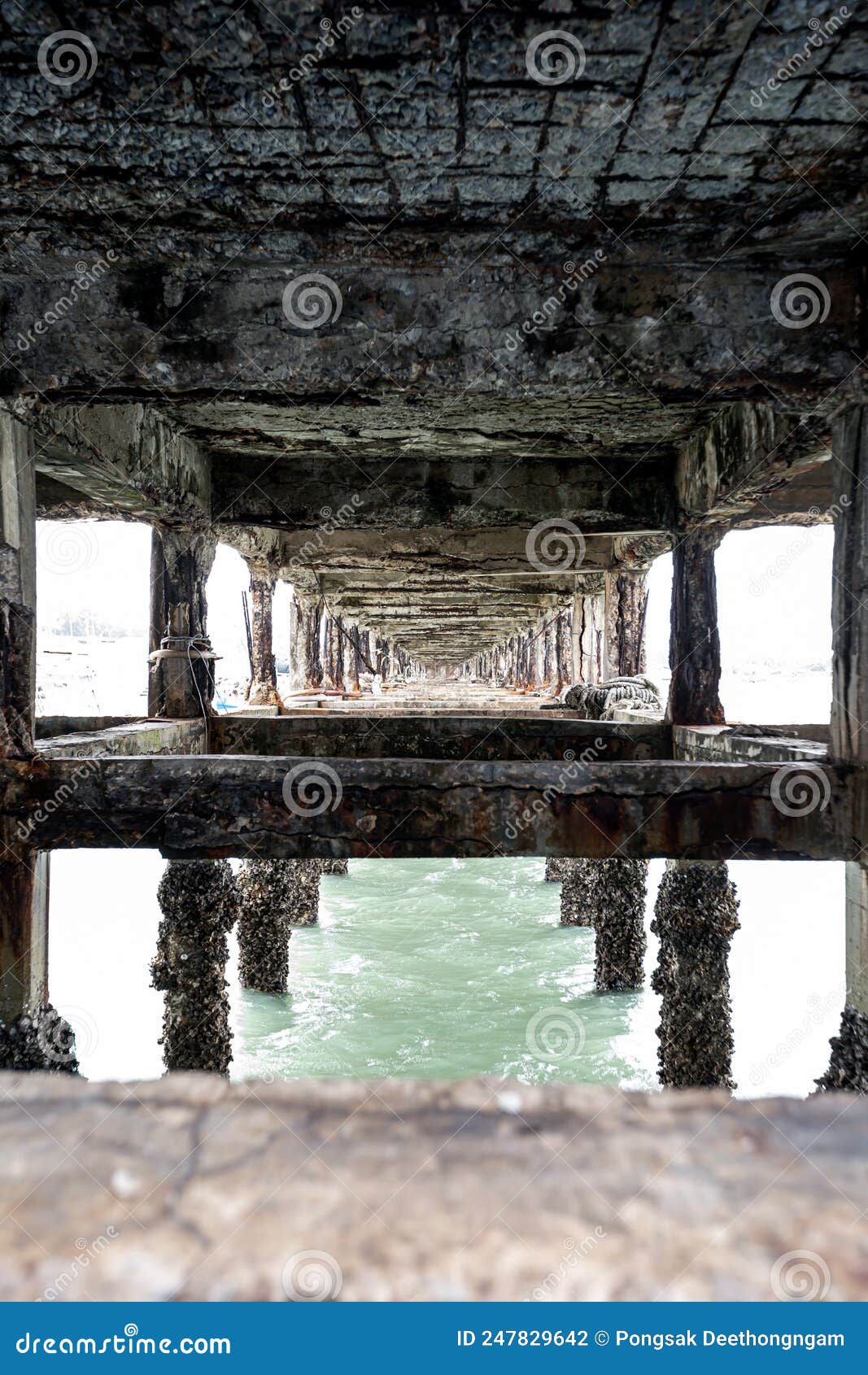 Under the pier by the sea stock photo. Image of reflection - 247829642