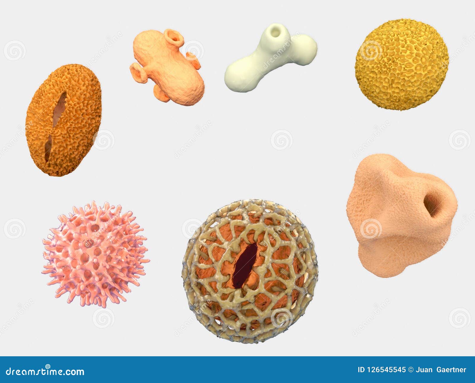 Pollen grains stock illustration. Illustration of illness - 126545545