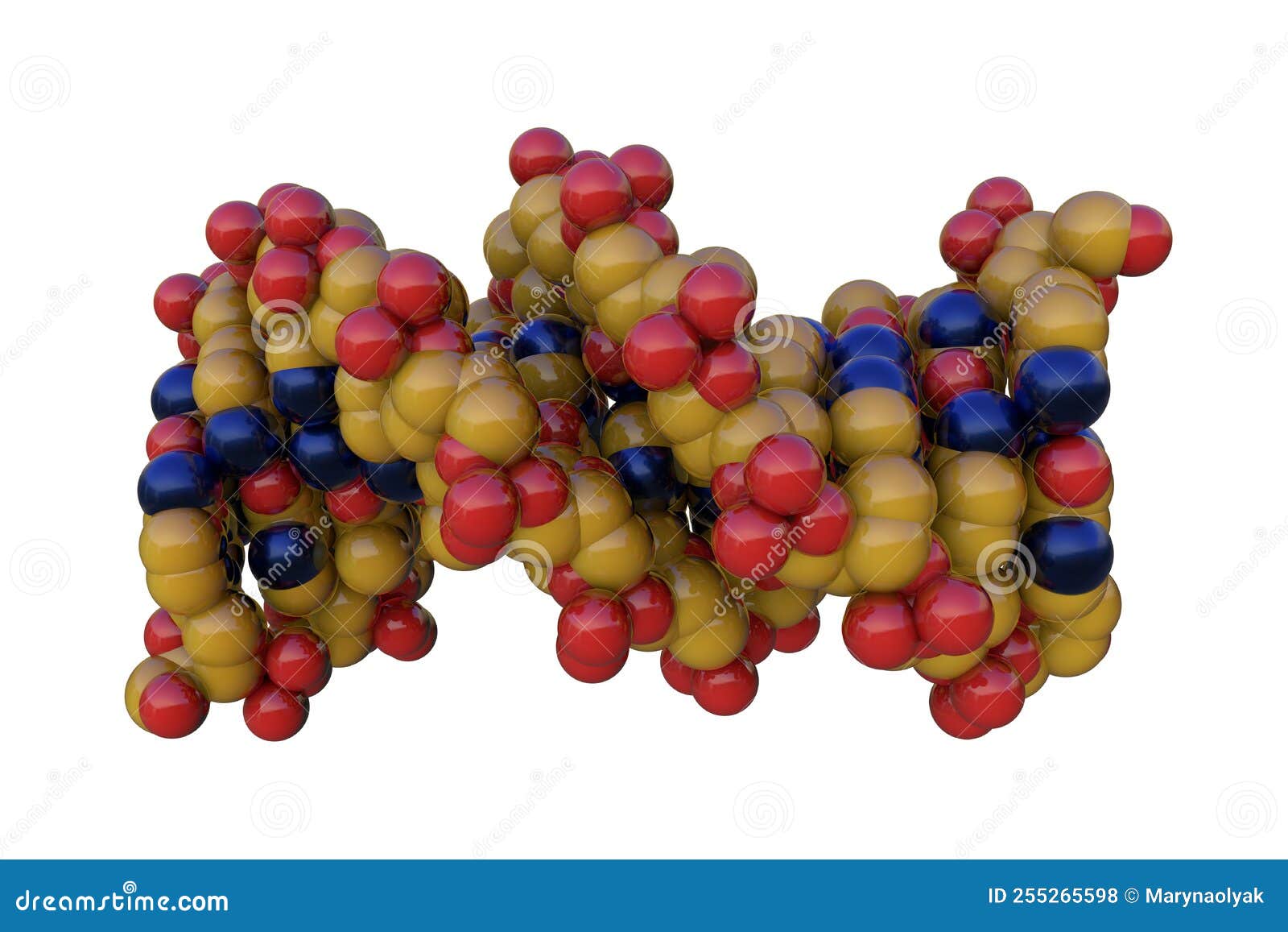 Structure of a DNA Fragment: D (cgtgaattcacg). Space-filling Molecular ...