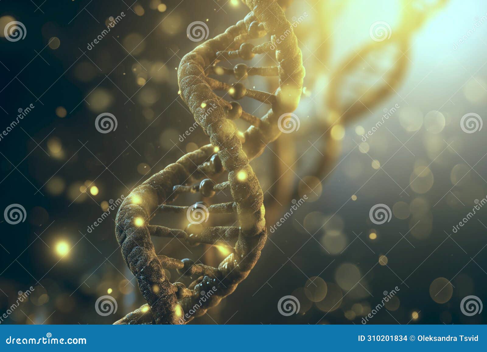 Structure of a Dna Molecule, Concept of Biochemistry Stock Photo ...