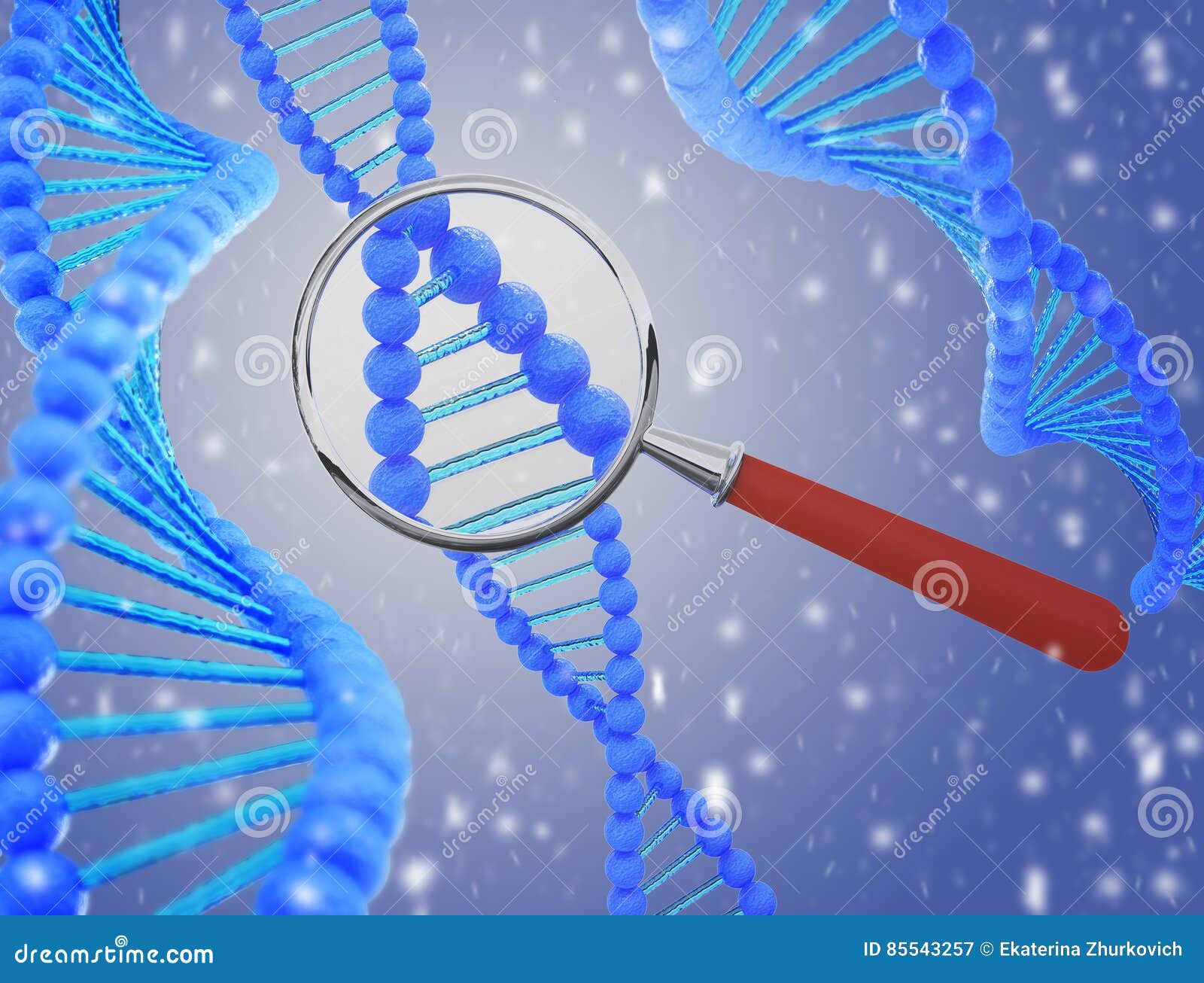 Structure of DNA Under a Magnifying Glass. 3D Render Stock Image ...