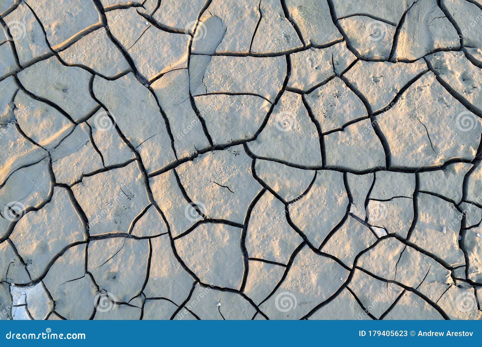 Structure of dry soil stock image. Image of plant, textures - 179405623