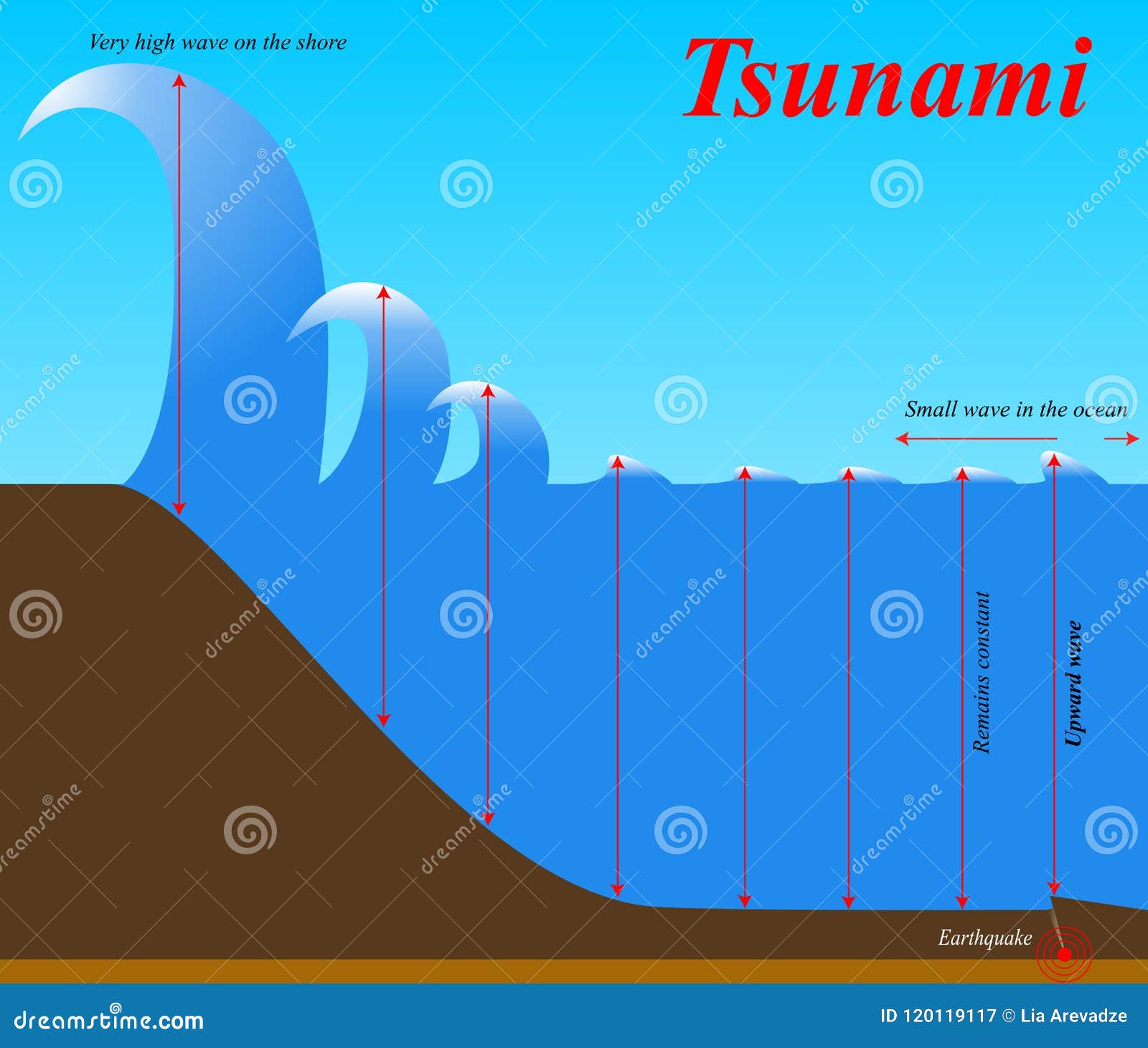 Tsunami Diagram With Labels