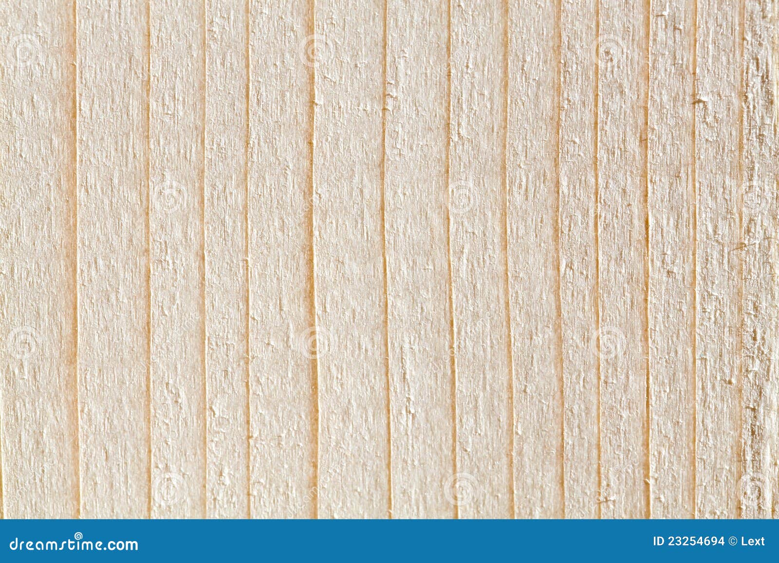 Structure of Fibres of Wood, Tree Cut Stock Photo - Image of macro ...