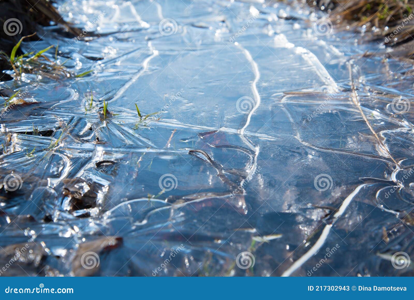 The Structure of the Freezing Puddle, Top View. Abstract Natural ...