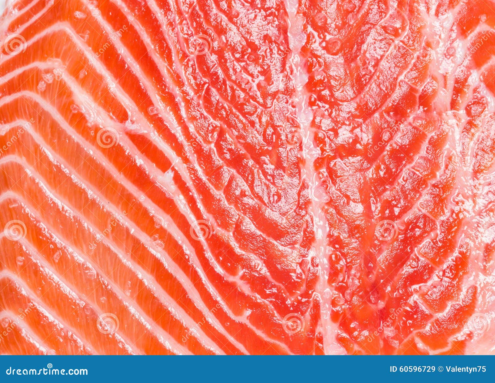 Structure of fresh salmon. stock image. Image of salt - 60596729