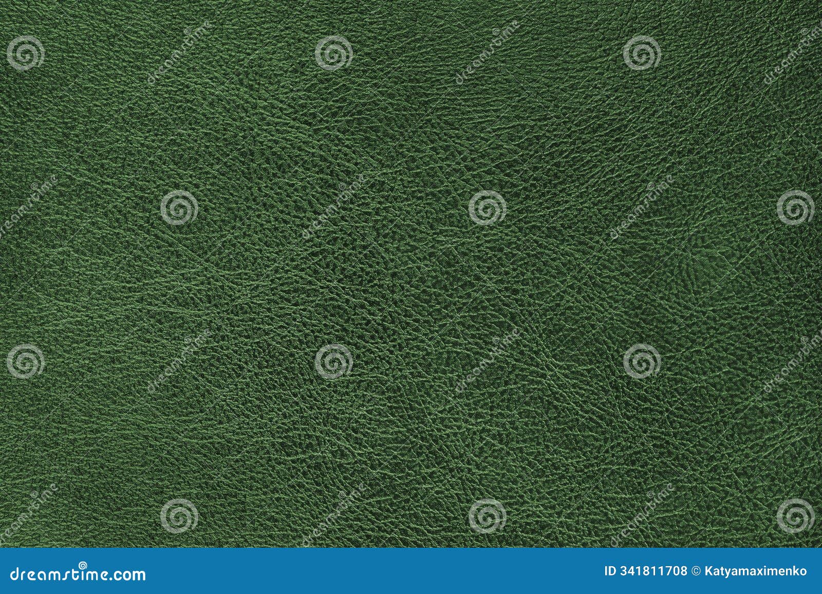 Structure of Genuine Leather, Shiny Green Leatherette Surface with ...