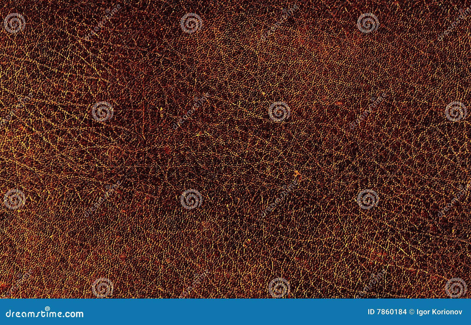Structure of a Golden Leather Stock Photo - Image of clothes, golden ...