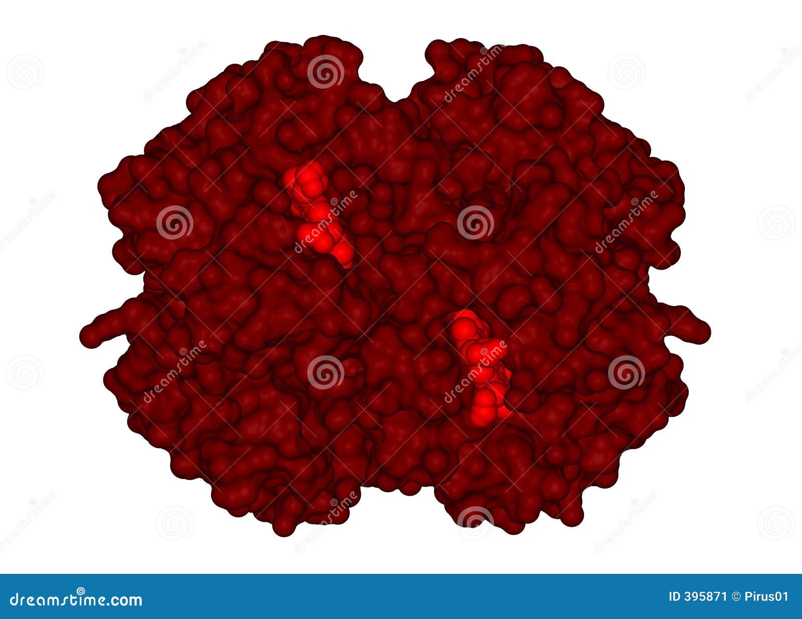 Structure Of The Hemoglobin Molecule Cartoon Vector | CartoonDealer.com ...