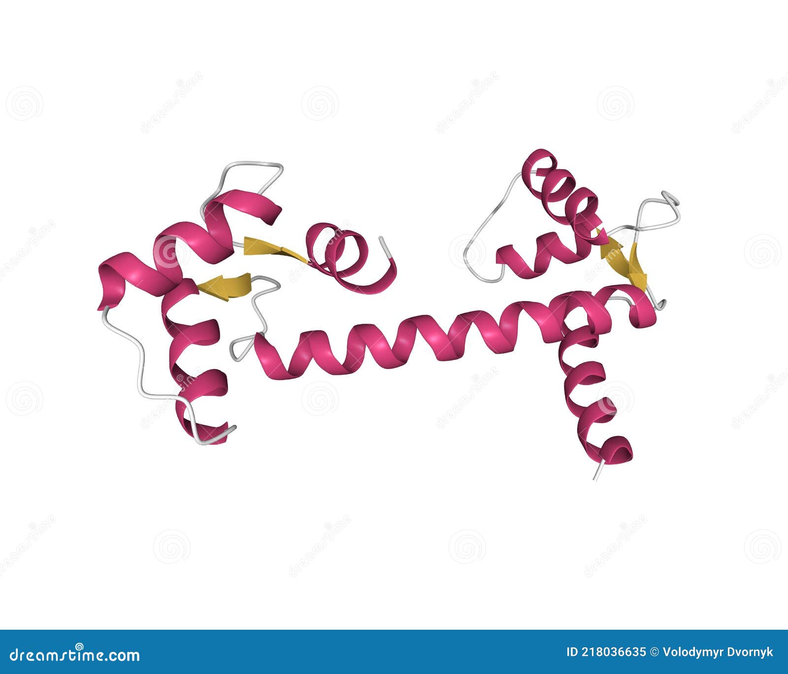 Calmodulin Cartoons, Illustrations & Vector Stock Images - 10 Pictures ...
