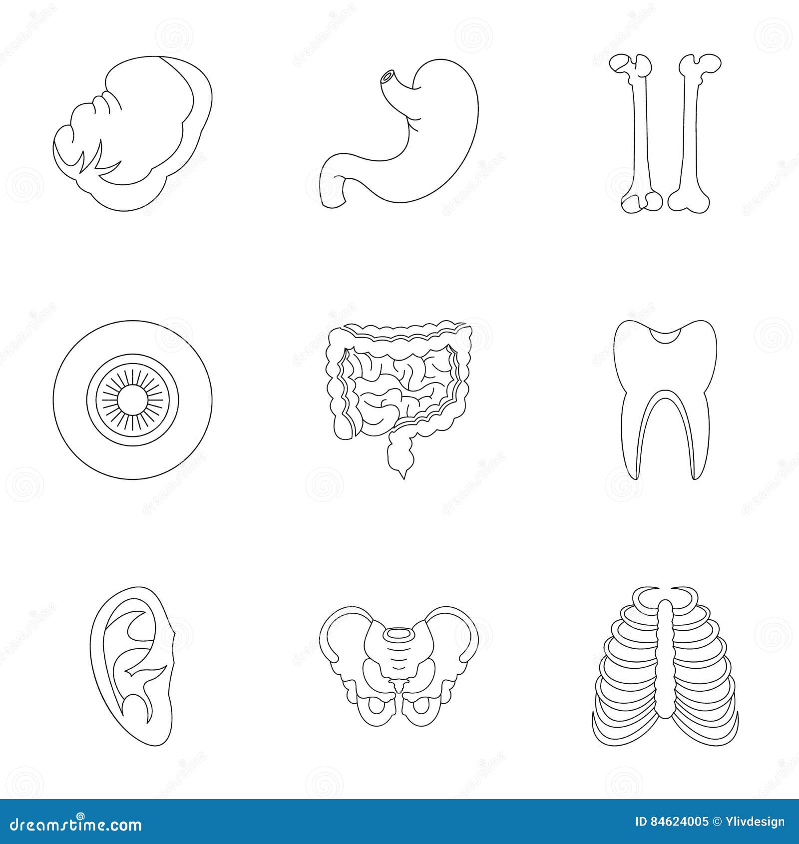 Structure of Human Icons Set, Outline Style Stock Vector - Illustration ...