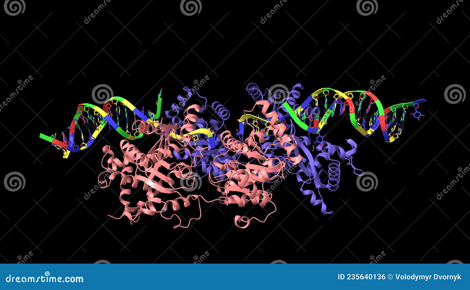 Helicase Cartoons, Illustrations & Vector Stock Images - 32 Pictures to ...