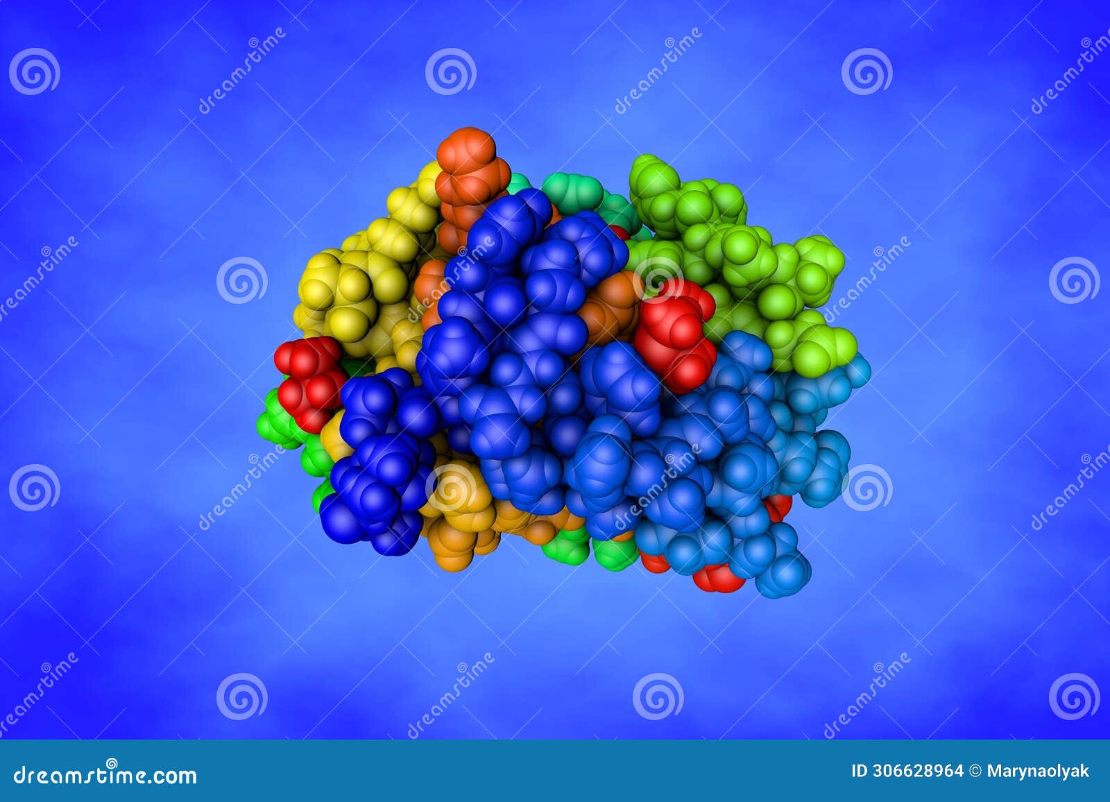 Structure of Human Sonic Hedgehog in Complex with Zinc and Magnesium ...