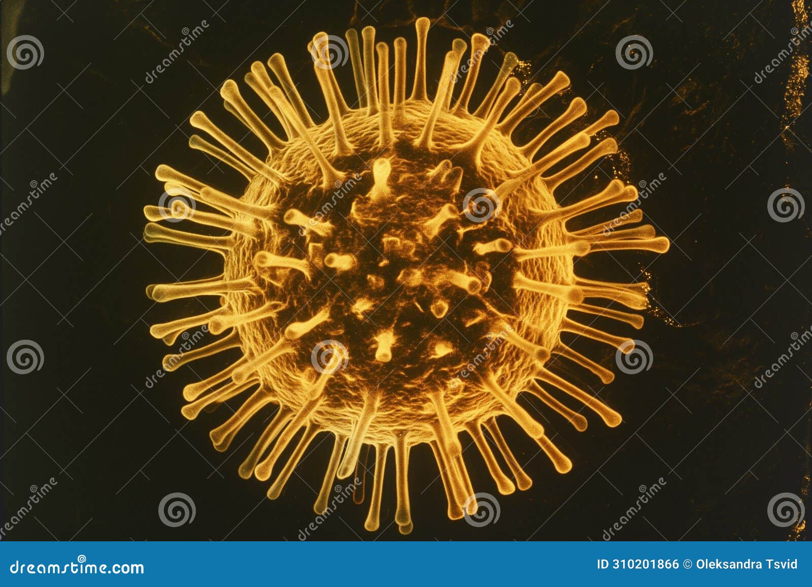 Structure of the Influenza Virus. Microscope Virus Stock Photo - Image ...