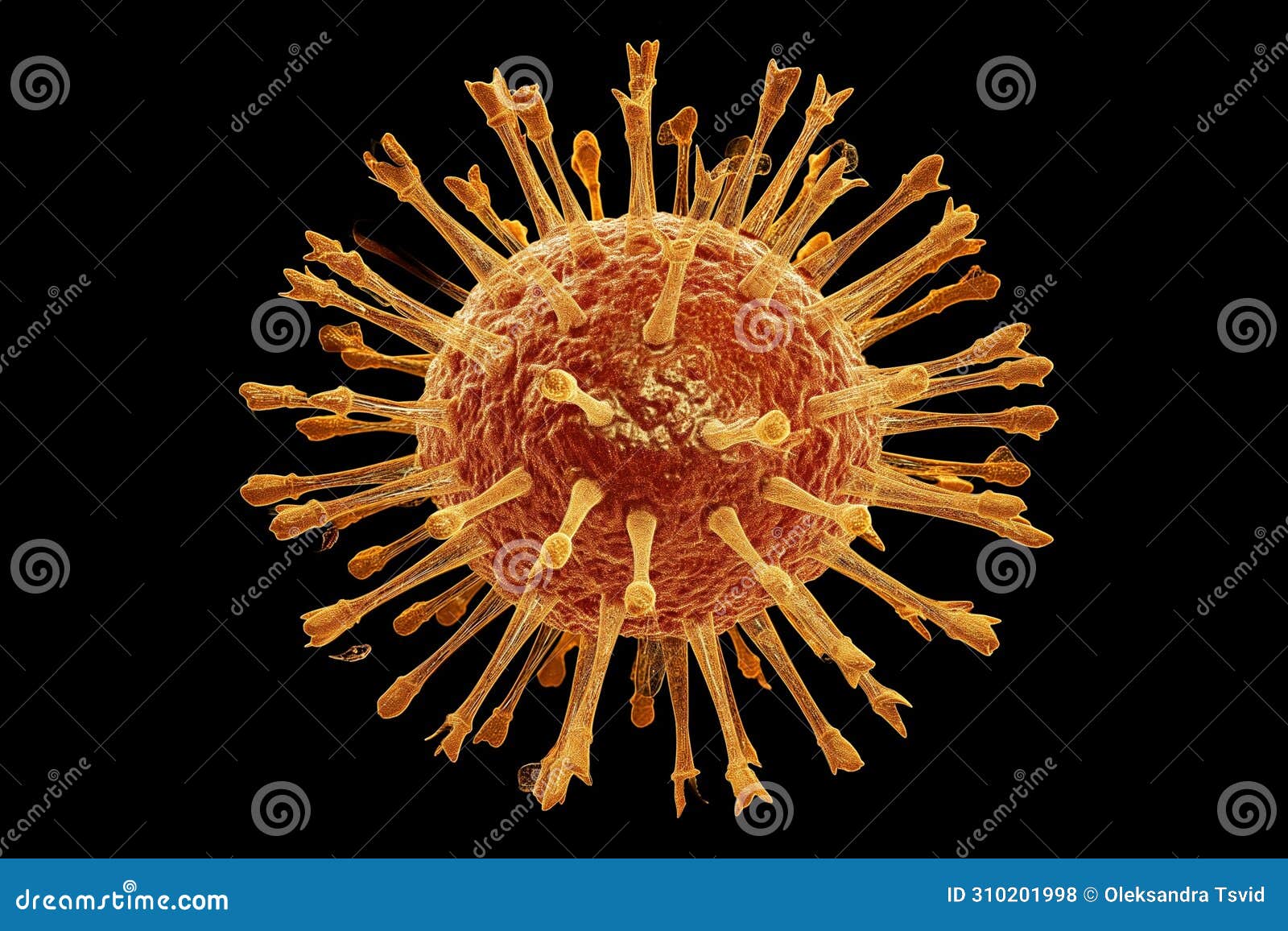 Structure of the Influenza Virus. Microscope Virus Stock Photo - Image ...