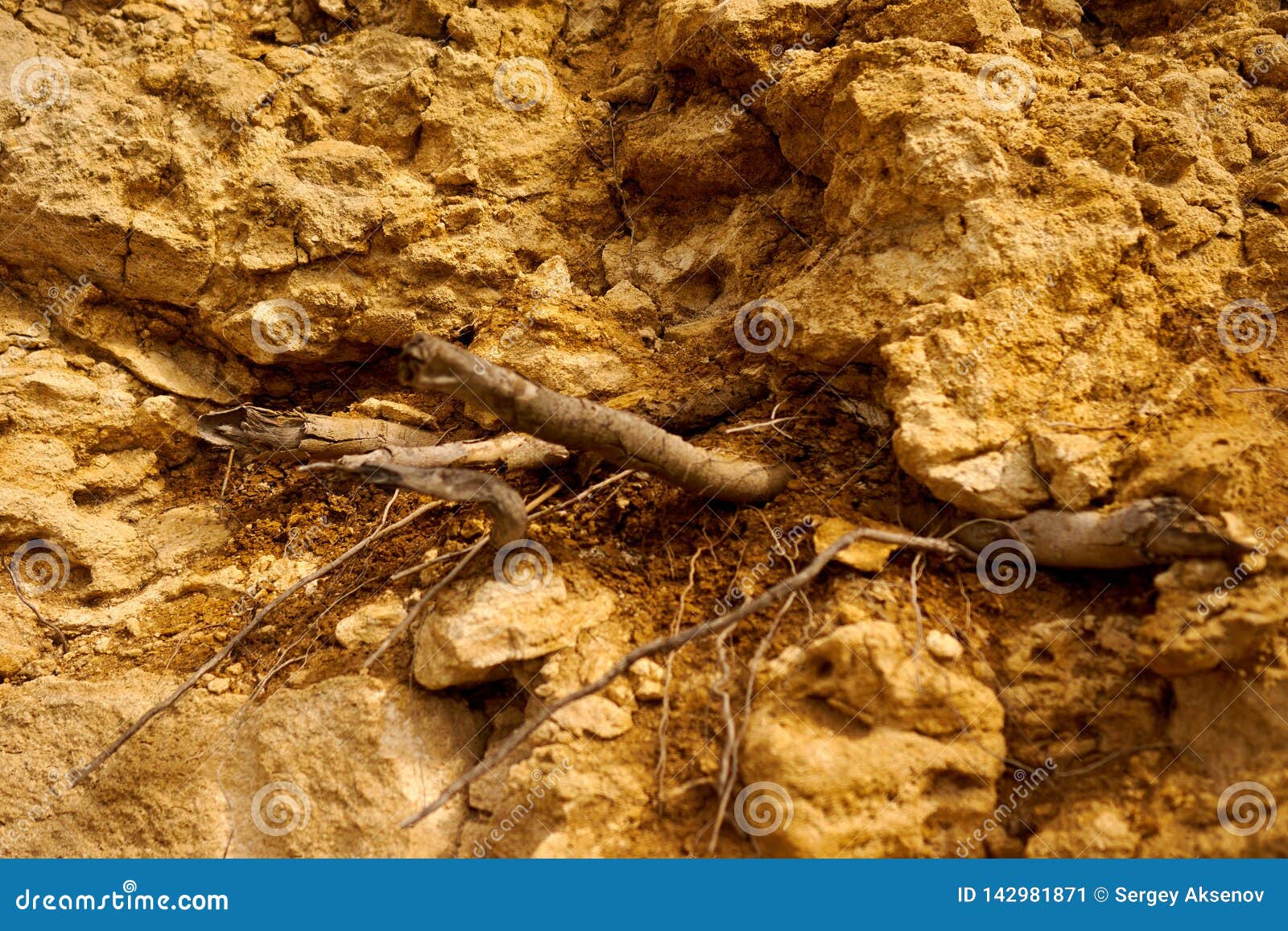 Structure of a land stock image. Image of natural, land - 142981871