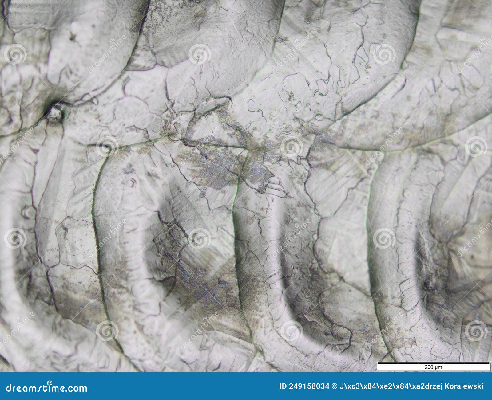 Structure of Laser Titanium Under a Microscope. Stock Photo - Image of ...