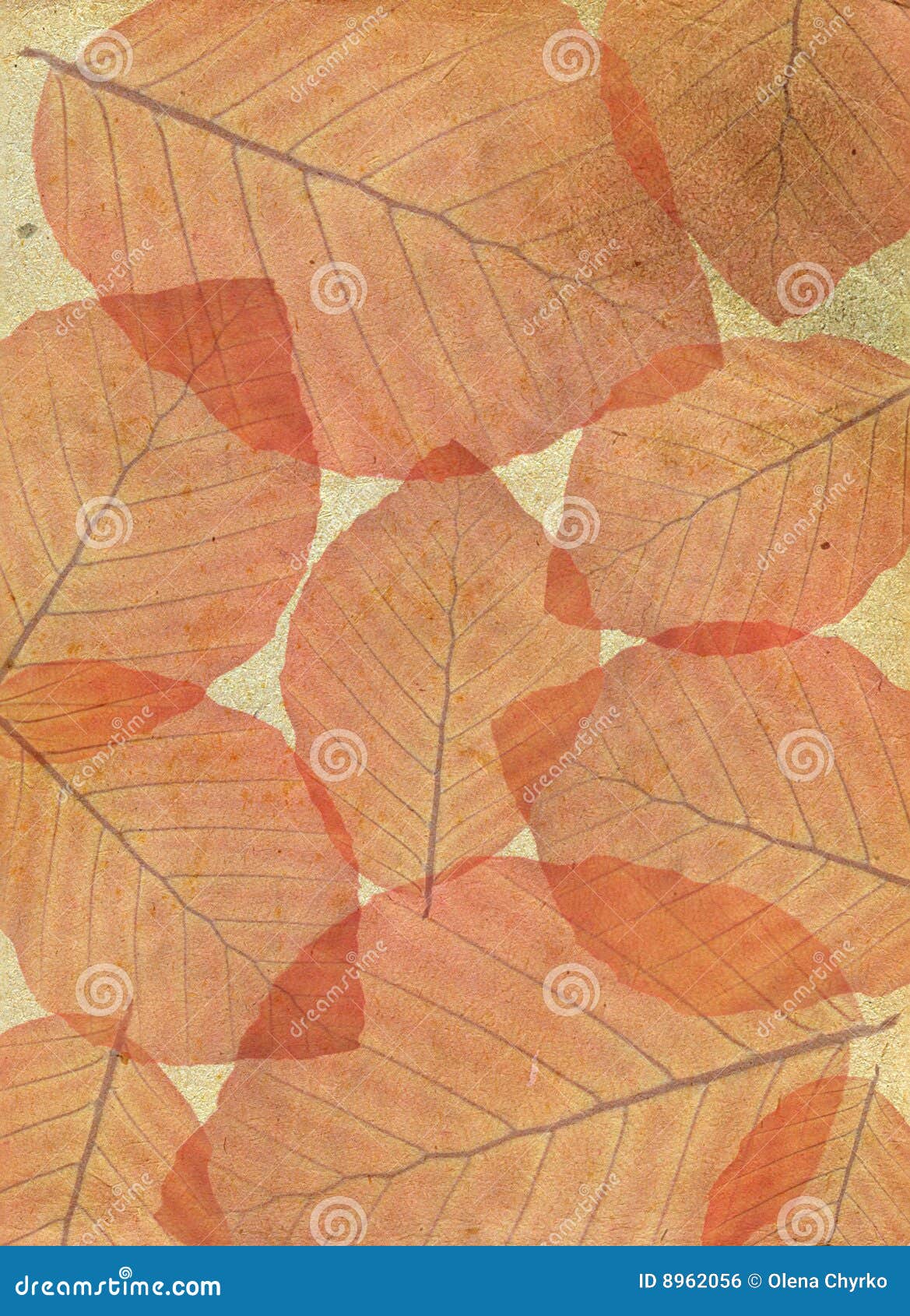 Structure of Leaves on an Old Paper. Stock Photo - Image of material ...