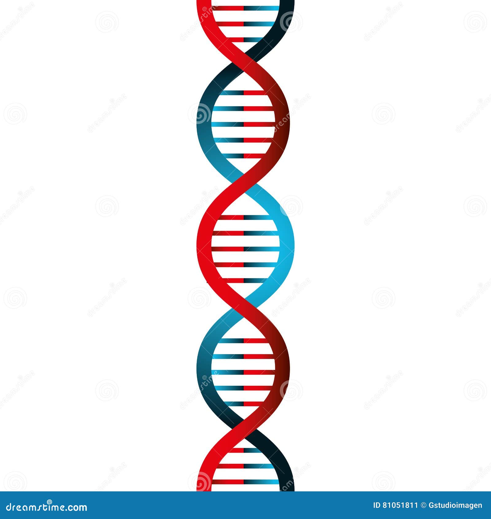 Structure Moléculaire De L'ADN Illustration de Vecteur - Image: 81051811