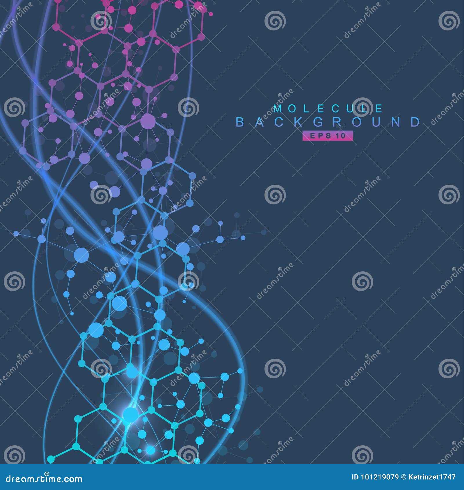Neurons, Scientific Designation. Structure Synapse. Neuronal With A ...