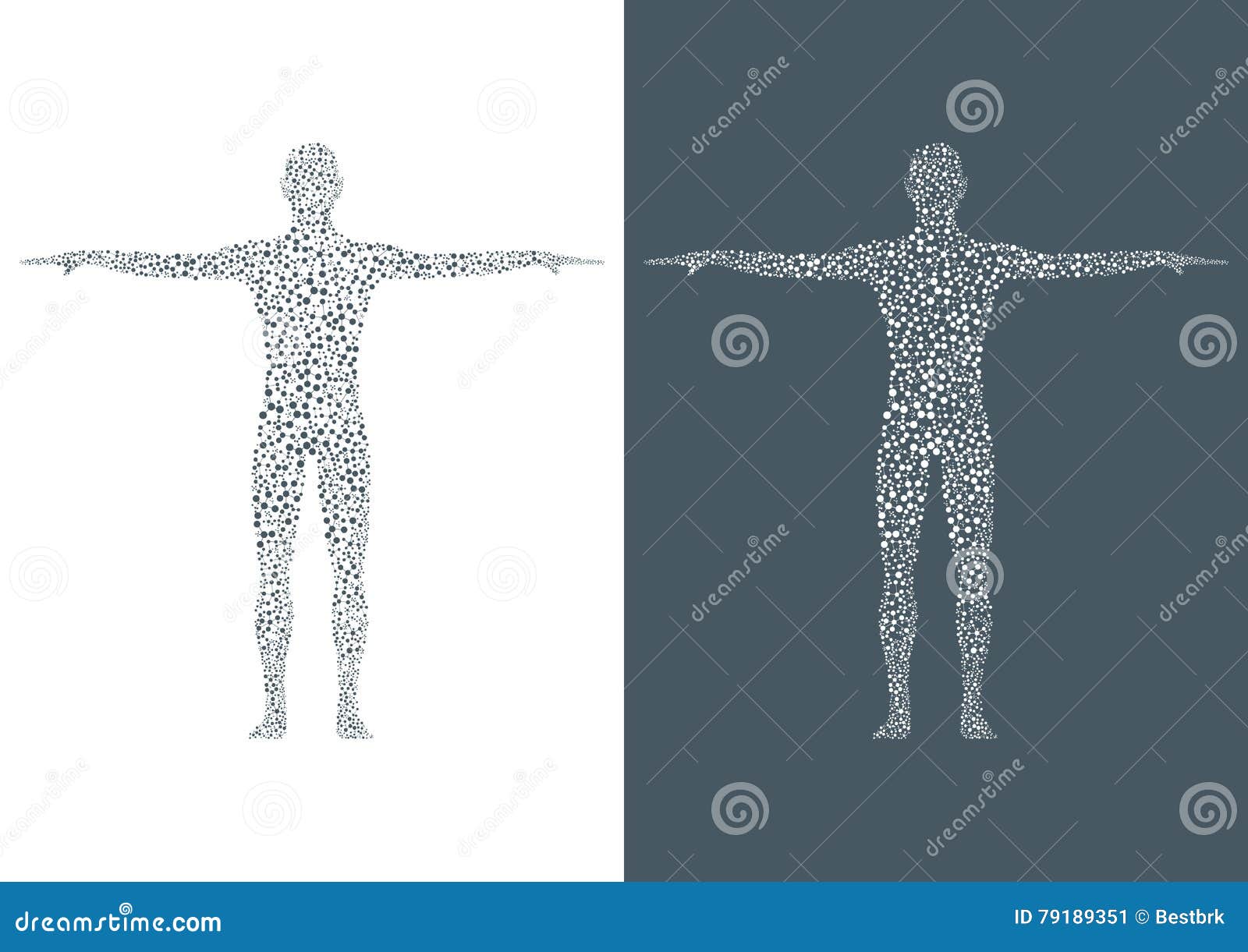 Man. 3D Model Of Man. Human Body Model. Body Scanning. View Of Human ...