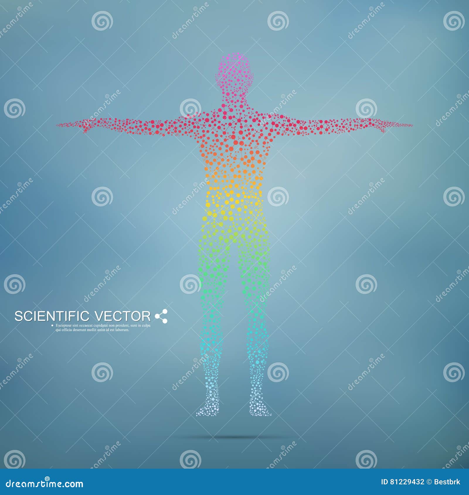 Man. 3D Model Of Man. Human Body Model. Body Scanning. View Of Human ...