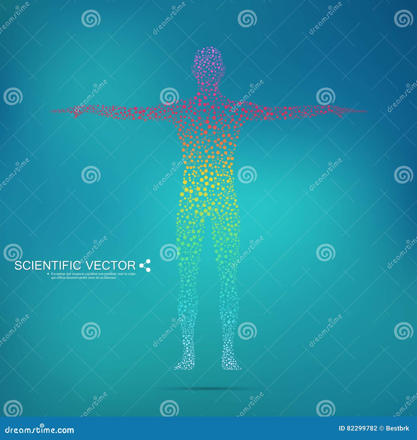 Man. 3D Model Of Man. Human Body Model. Body Scanning. View Of Human ...