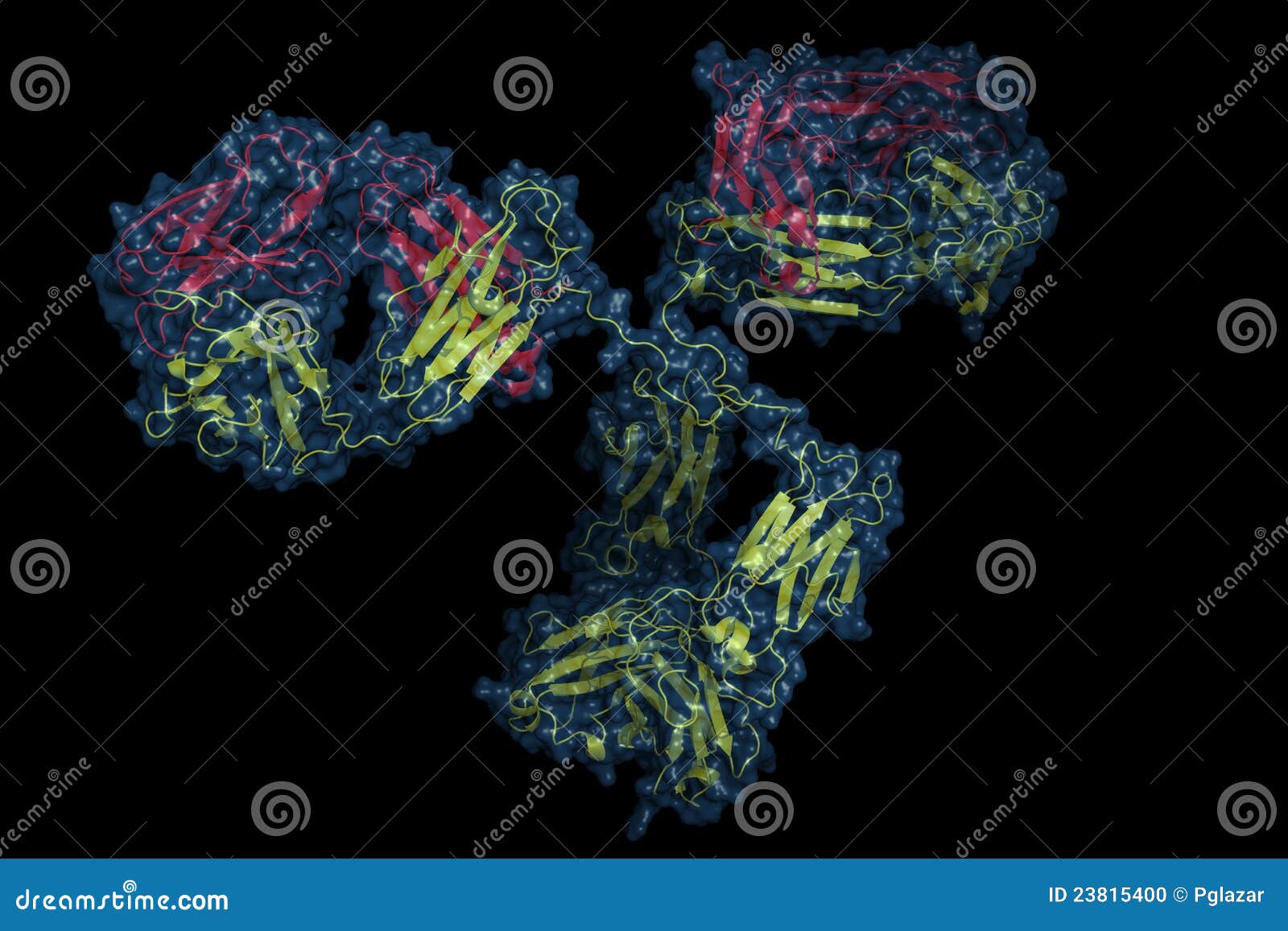 Structure of a Monoclonal Antibody Stock Illustration - Illustration of ...