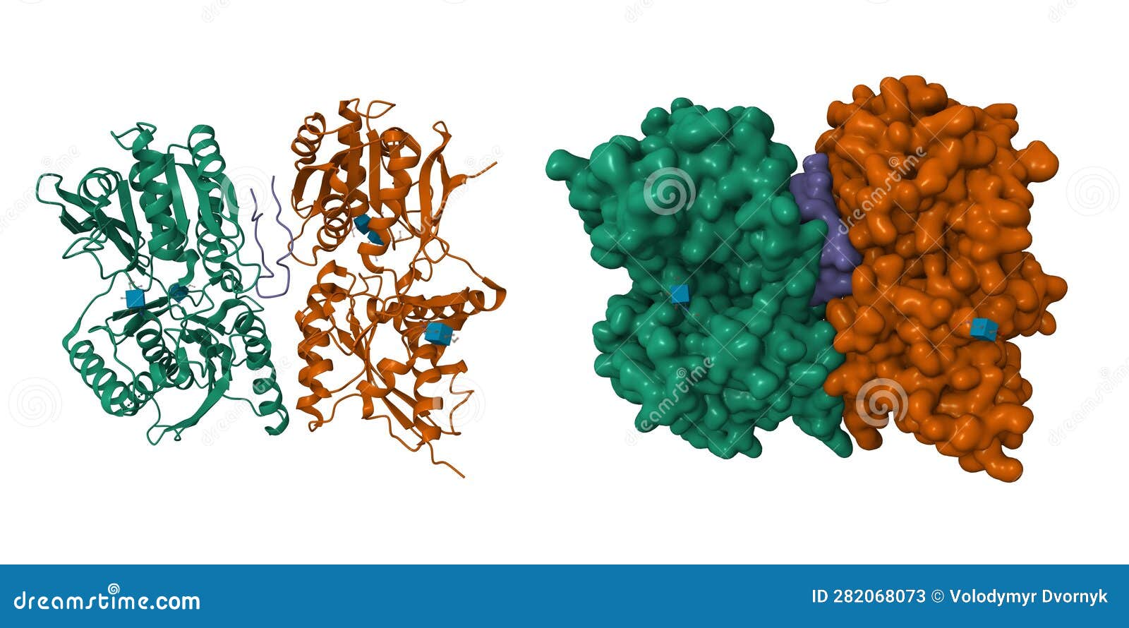 Dimer Cartoons, Illustrations & Vector Stock Images - 493 Pictures to ...