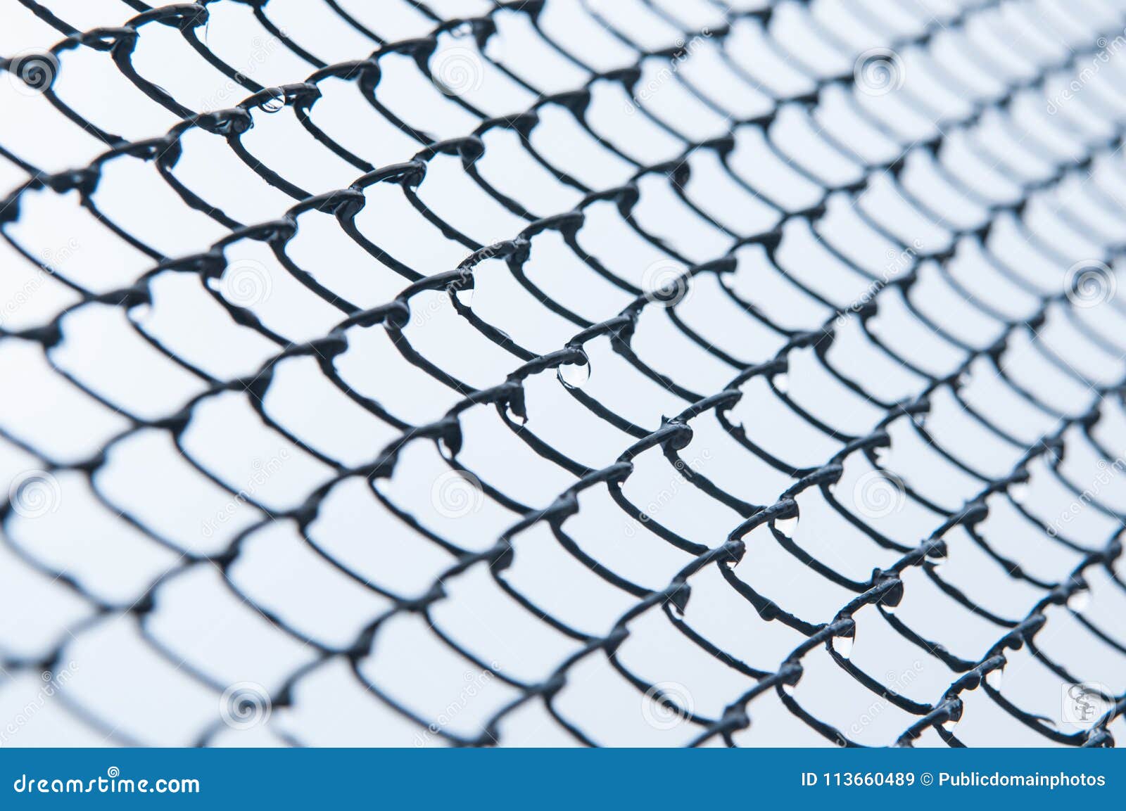 Structure, Net, Black And White, Pattern Picture. Image: 113660489