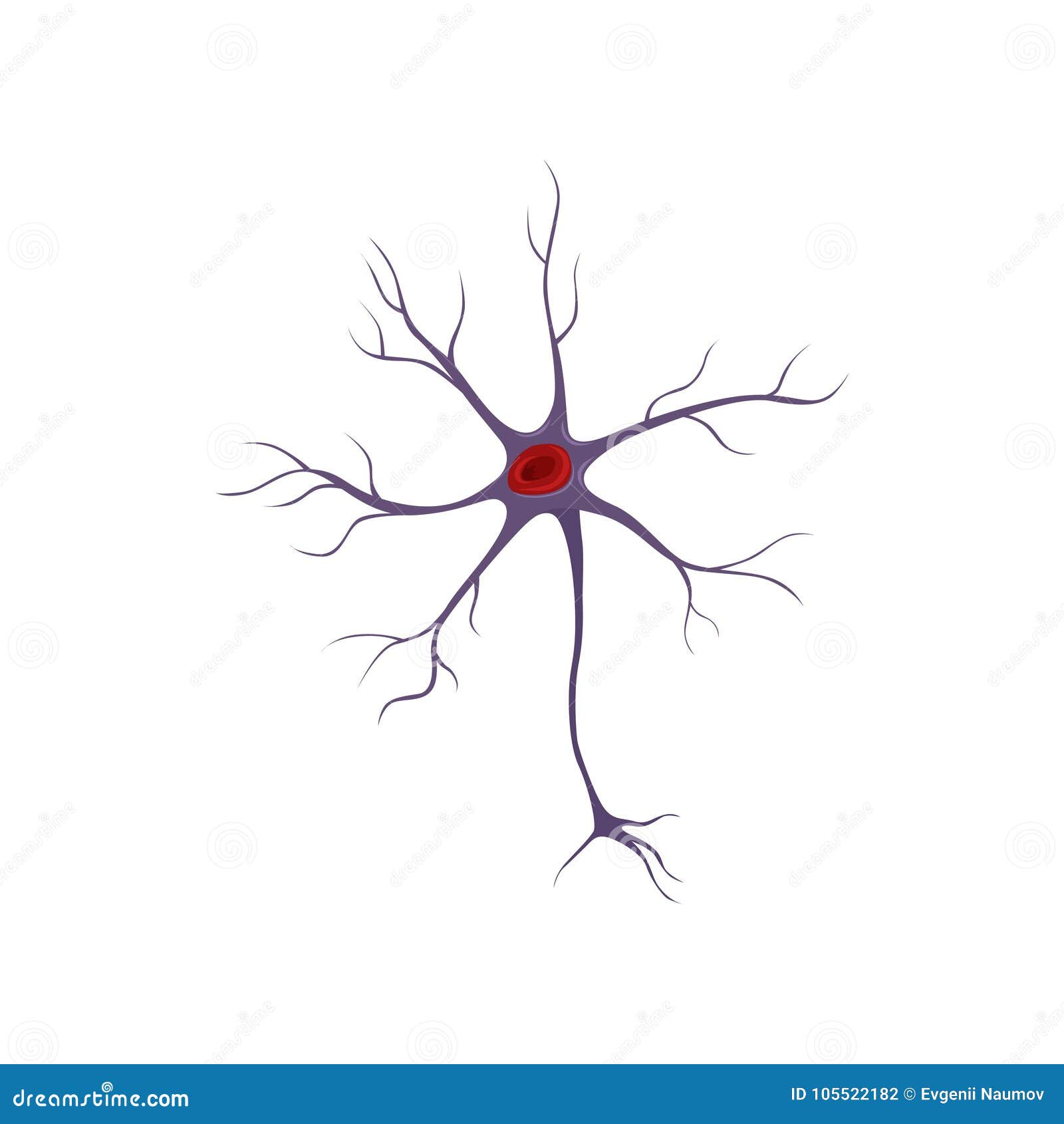 Structure of Neuron, Nerve Cell. Anatomy and Science Concept. Icon in ...