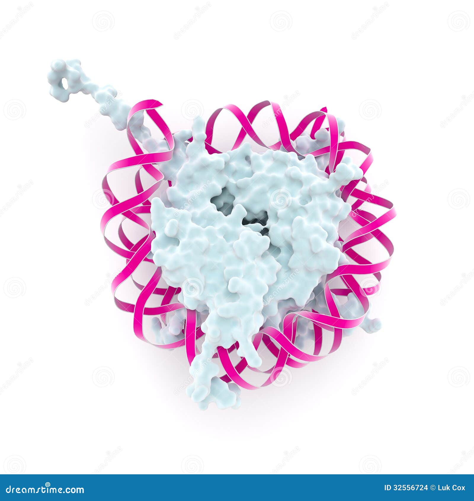 Histones Cartoons, Illustrations & Vector Stock Images - 82 Pictures to ...