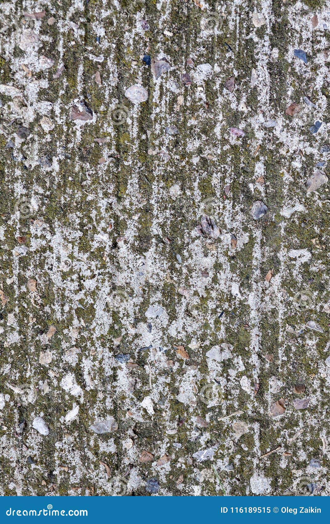 Structure of old concrete stock image. Image of cement - 116189515