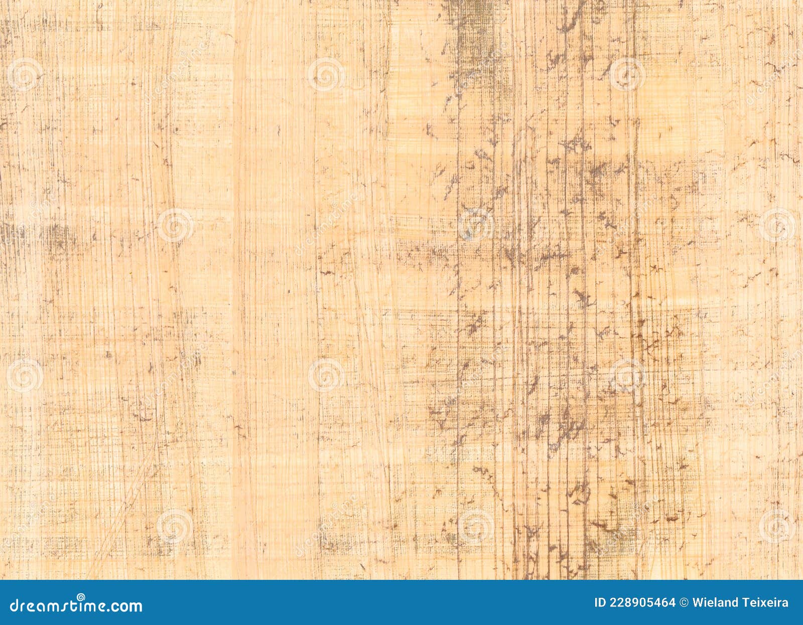 The Structure of the Old Light Brown and Dirty Papyrus Stock ...