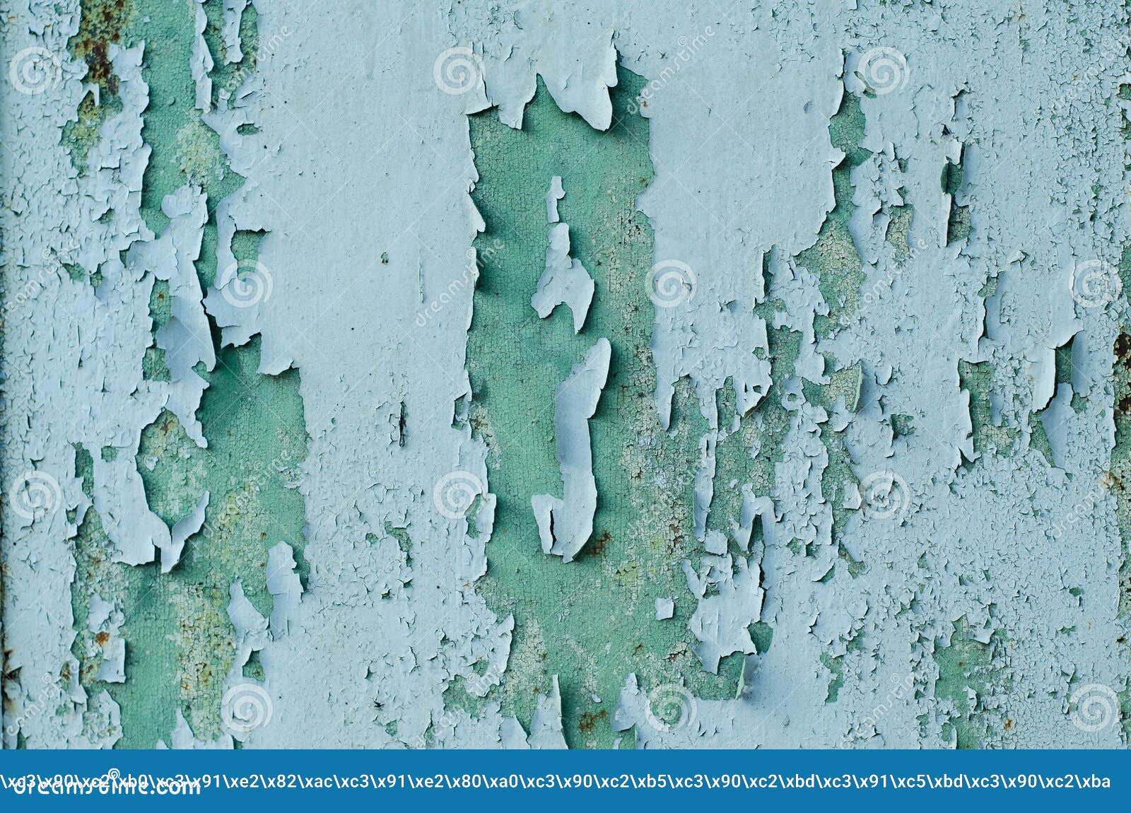 The Structure of the Old Tree. the Paint is Climbing Off the Wall. Old ...