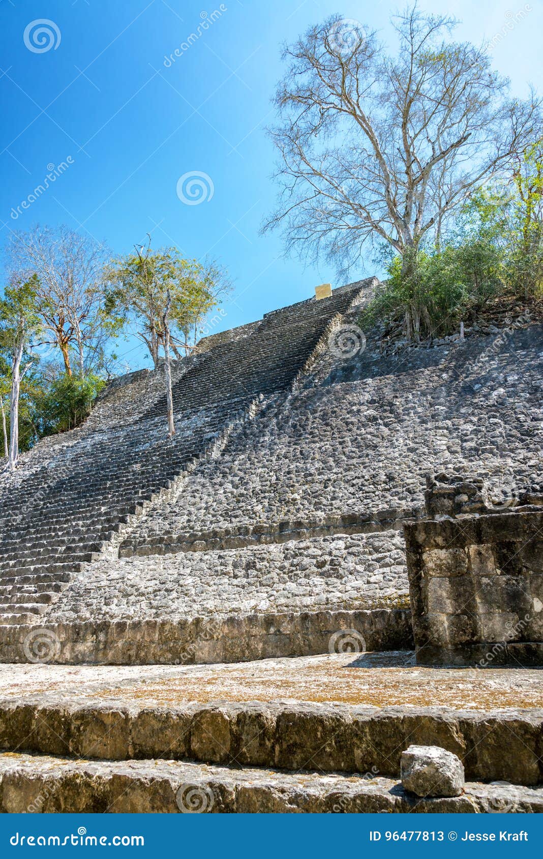 Structure One in Calakmul stock image. Image of forest - 96477813