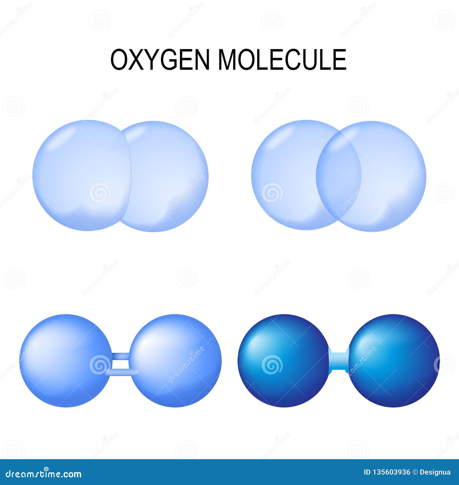 Oxygen Molecule 3d Model Stock Photography | CartoonDealer.com #24752084 Oxygen Molecule 3d Model Stock Photography | CartoonDealer.com #24752084