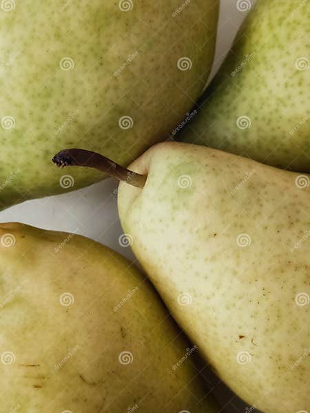 Structure of pears stock image. Image of gourd, dish - 250200761